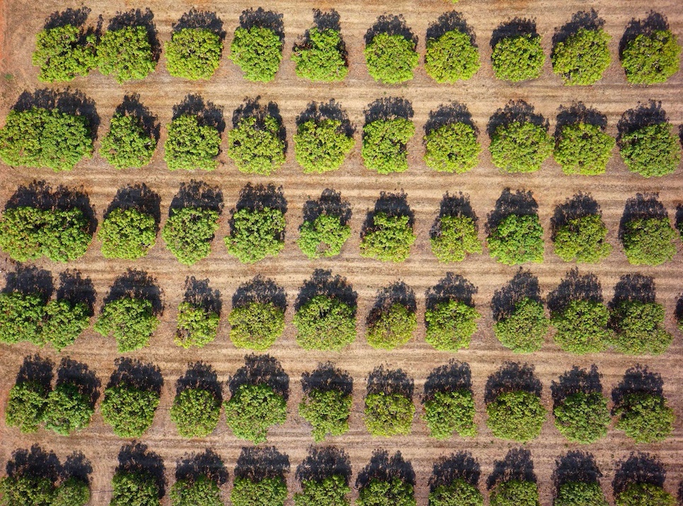 Mettre les mathématiques au service de la transition agricole ...