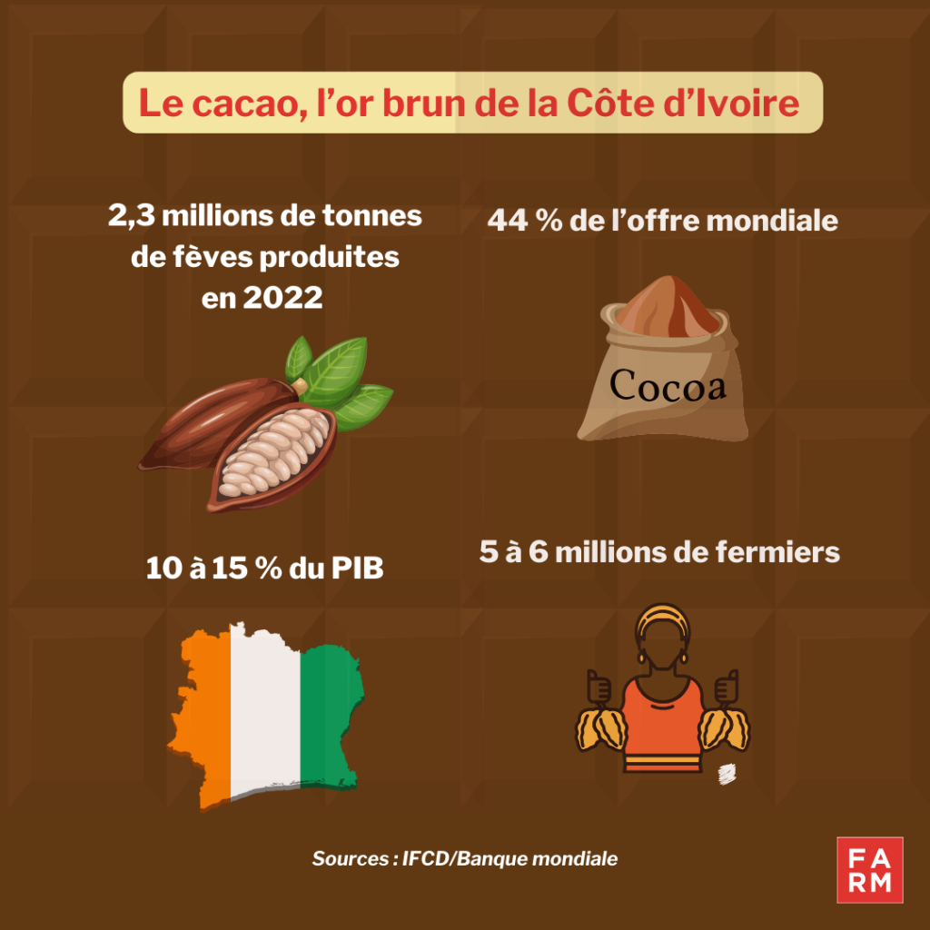 Côte d’Ivoire-Ghana : une filière cacao plus juste et durable avec le DRD ? – Fondation FARM
